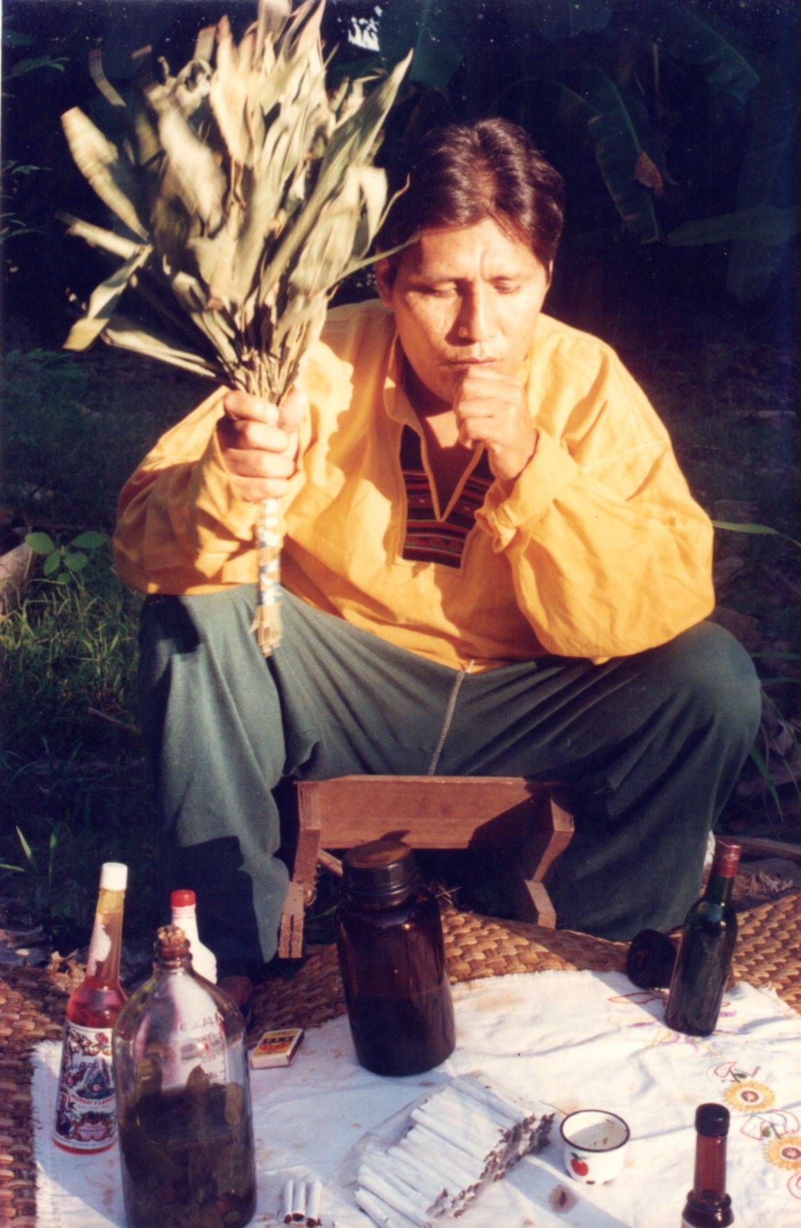 Historia ayahuaski | CiekawostkiHistoryczne.pl